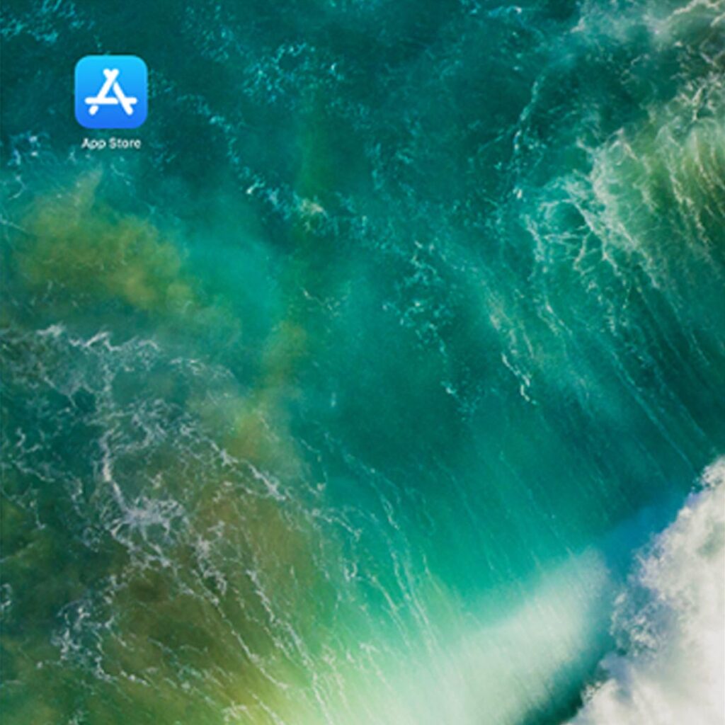 Guías de Instalación Dyned – EduSol